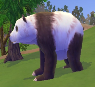 Panda | Sim Animals Wiki | Fandom