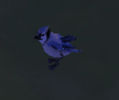Bluejay | Sim Animals Wiki | Fandom