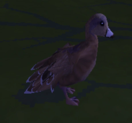 Widgeon | Sim Animals Wiki | Fandom