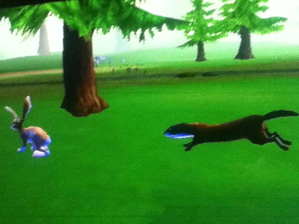 Weasel | Sim Animals Wiki | Fandom