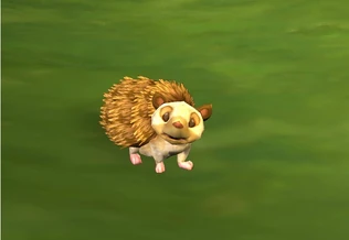 Hedgehog | Sim Animals Wiki | Fandom