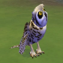 Snowy Owl | Sim Animals Wiki | Fandom