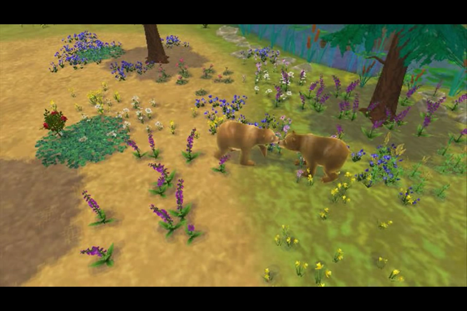 Bear | Sim Animals Wiki | Fandom