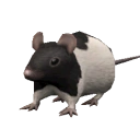 Rat | Sim Animals Wiki | Fandom