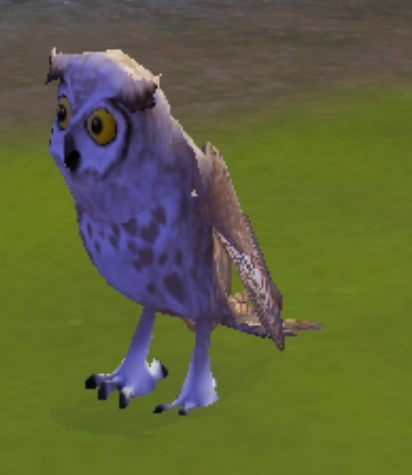 Owl | Sim Animals Wiki | Fandom
