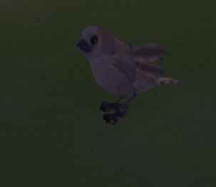Dove | Sim Animals Wiki | Fandom