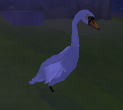 Swan | Sim Animals Wiki | Fandom