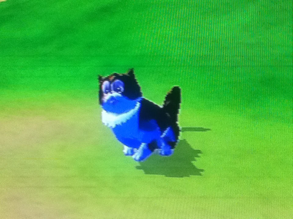 Cat | Sim Animals Wiki | Fandom