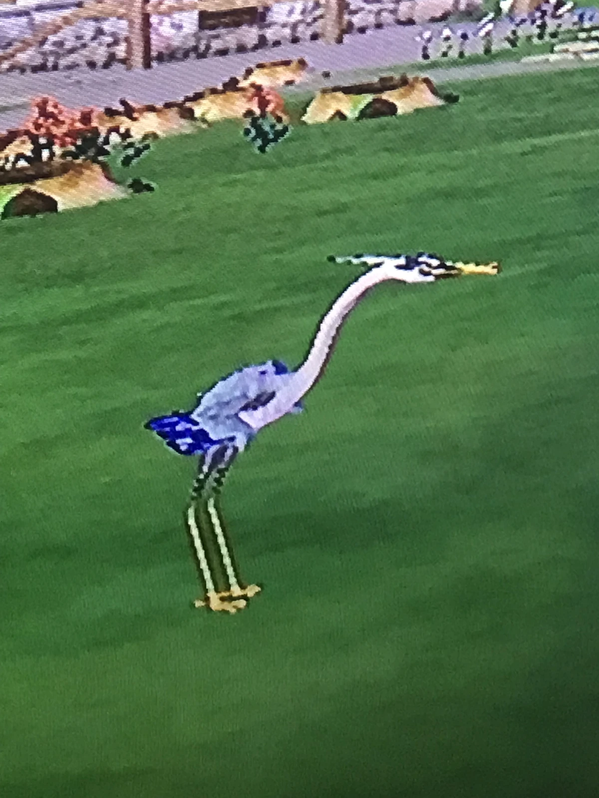 Humbleflower | Sim Animals Wiki | Fandom