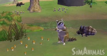 Raccoon | Sim Animals Wiki | Fandom