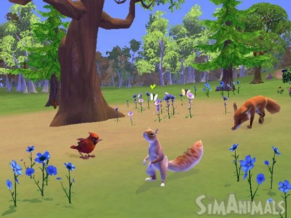 Squirrel | Sim Animals Wiki | Fandom