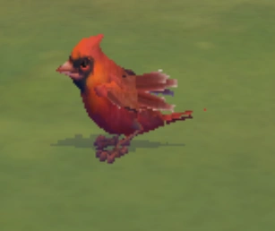 Cardinal | Sim Animals Wiki | Fandom