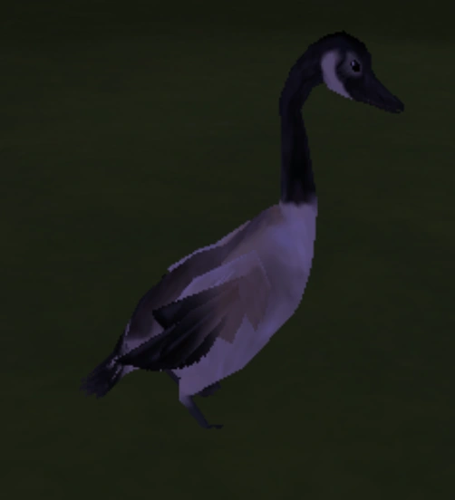Goose | Sim Animals Wiki | Fandom