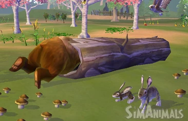 Bear | Sim Animals Wiki | Fandom