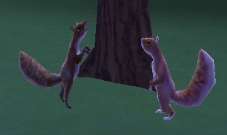 Red squirrel | Sim Animals Wiki | Fandom