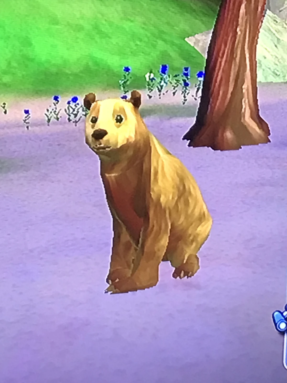 Sweet Cecile | Sim Animals Wiki | Fandom