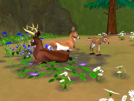 Deer | Sim Animals Wiki | Fandom