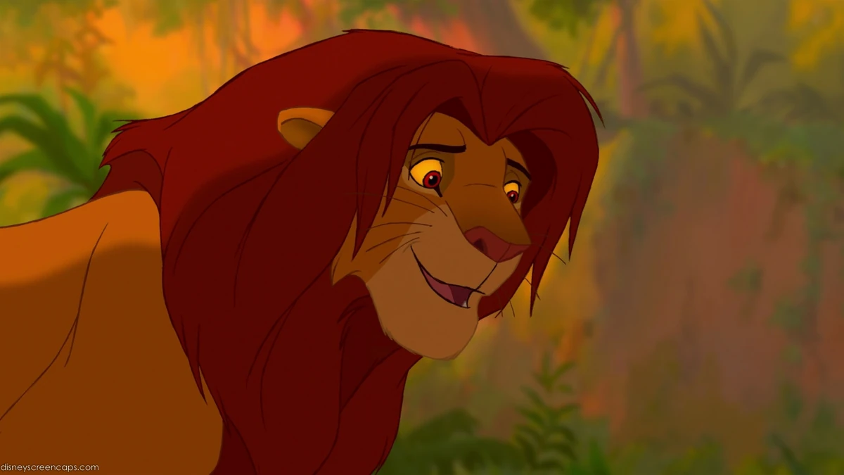 Simba | Simba Heroes Wiki | Fandom