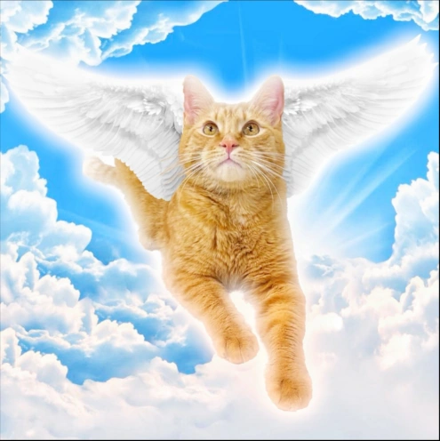 Категория:Персонажи | Симбочка Пимпочка вики | Fandom