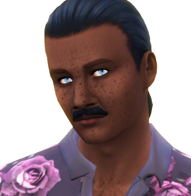 Sim Brother All-Stars | Sim Brother by Bartosh Wiki | Fandom