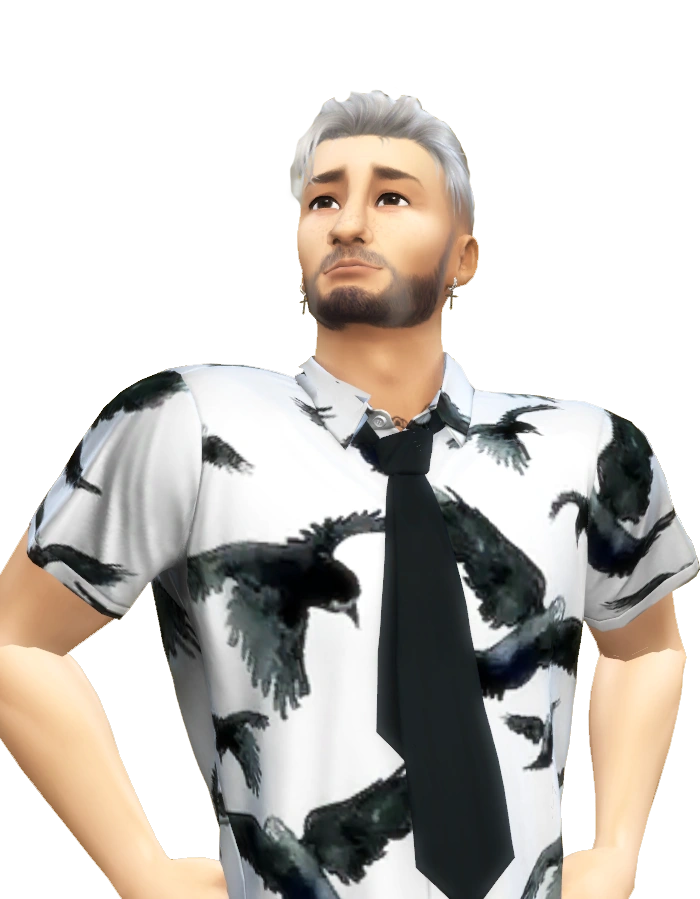 Charles d'Svarands | Sim Brother by Bartosh Wiki | Fandom