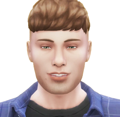 Sim Brother 3 | Sim Brother by Bartosh Wiki | Fandom