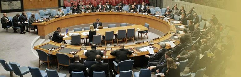 Security Council | Simcountry | Fandom