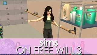 Sims On Free Will 3 | SIMGM Wiki | Fandom