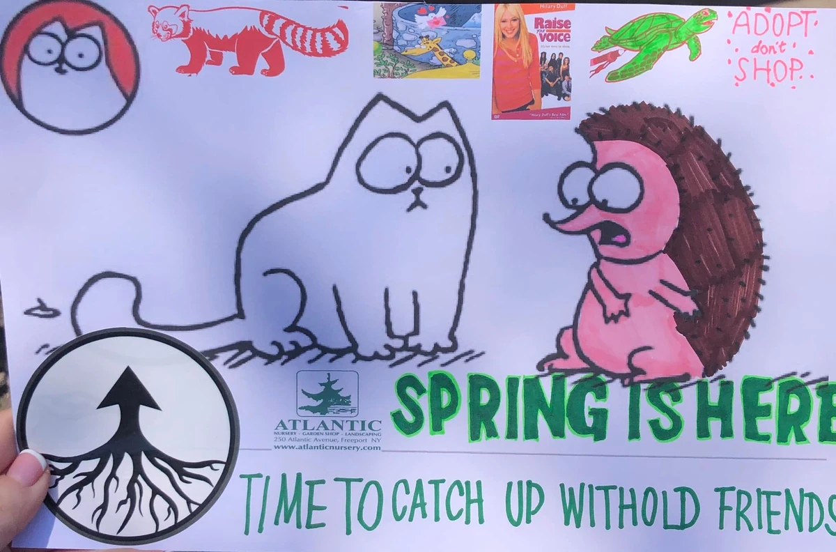 SPRING IS HERE! | SimonCat Wikia | Fandom