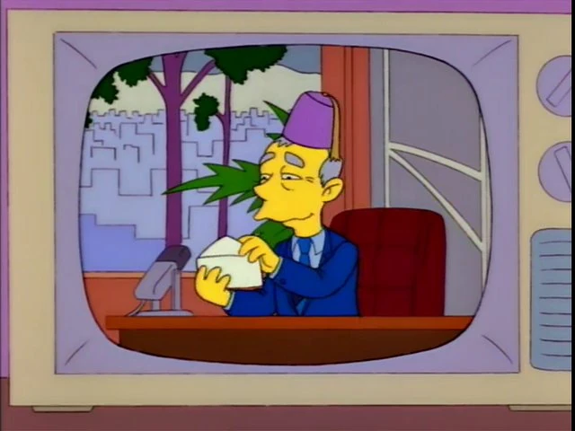 Talk Show Host 1 | Simpsons Wiki | Fandom