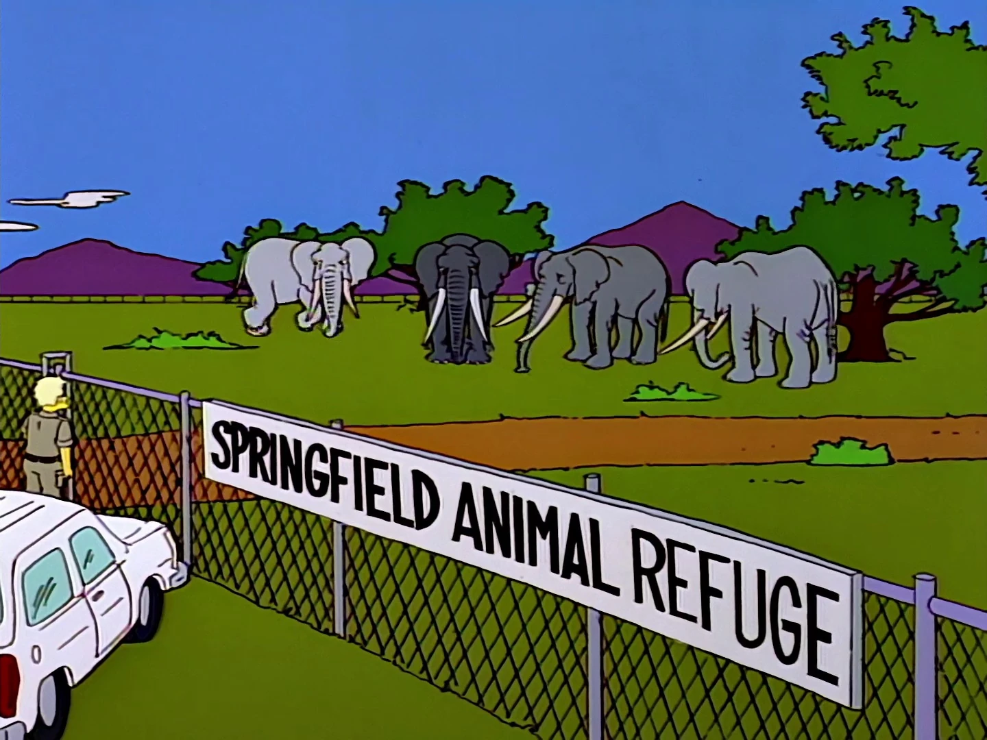 Springfield Animal Refuge | Simpsons Wiki | Fandom