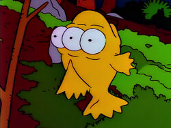 Real Three Eyed Fish