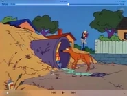 El Barto | Simpsons Wiki | Fandom