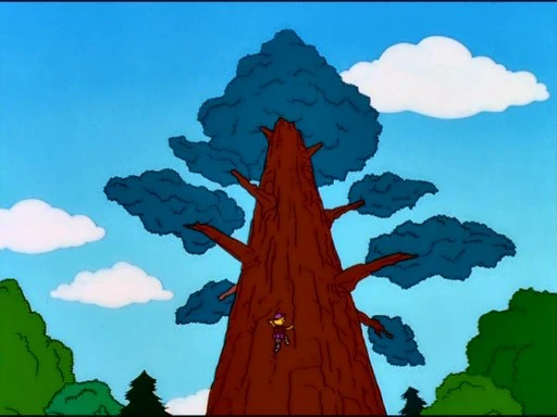 Springfield's oldest redwood tree | Simpsons Wiki | Fandom