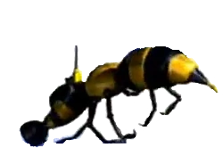 Wasp camera | Simpsons Wiki | Fandom