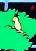 Cockatiel | Simpsons Wiki | Fandom