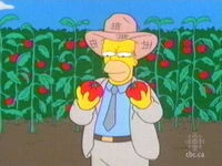 Antiga Fazenda da Família Simpson | Wikisimpsons | Fandom