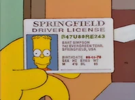 Bart on the Road | Simpsons Wiki | Fandom