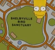 Shelbyville Bird Sanctuary | Simpsons Wiki | Fandom