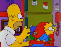 Homer Alone | Simpsons Wiki | Fandom