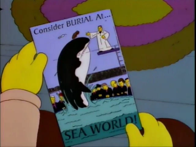 Sea World | Simpsons Wiki | Fandom