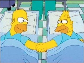 Homer Simpson in: "Kidney Trouble"/Gallery | Simpsons Wiki | Fandom