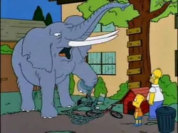 Bart Gets an Elephant | Simpsons Wiki | Fandom