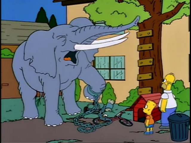 Bart Gets an Elephant | Simpsons Wiki | Fandom