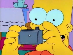 Spy camera | Simpsons Wiki | Fandom