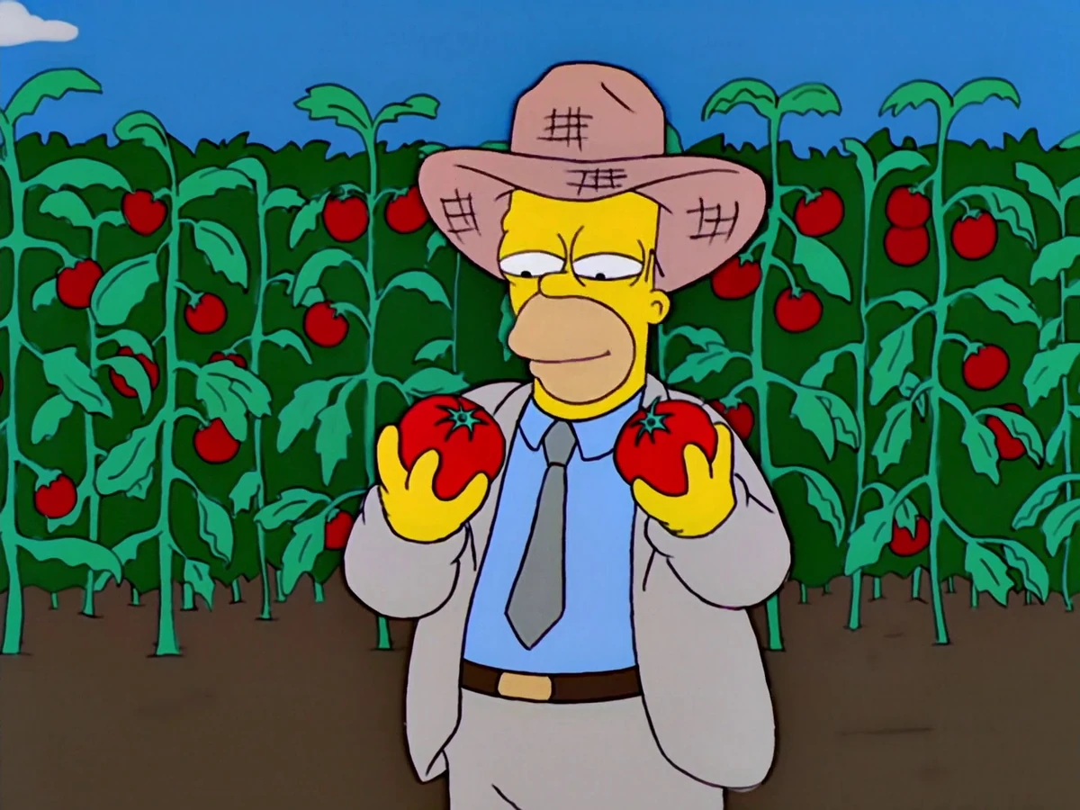Tomacco | Simpsons Wiki | Fandom
