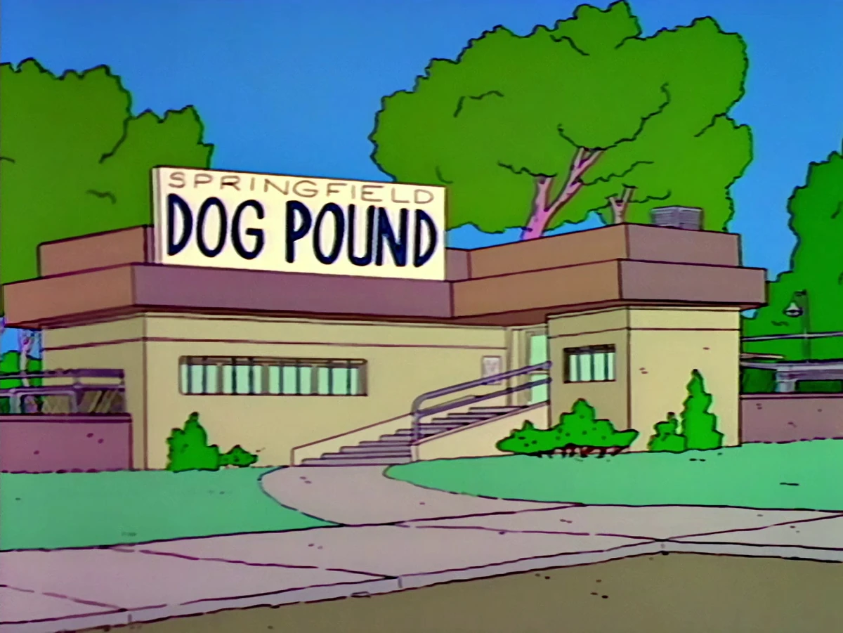 Springfield Dog Pound | Simpsons Wiki | Fandom