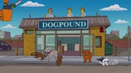 Springfield Dog Pound | Simpsons Wiki | Fandom