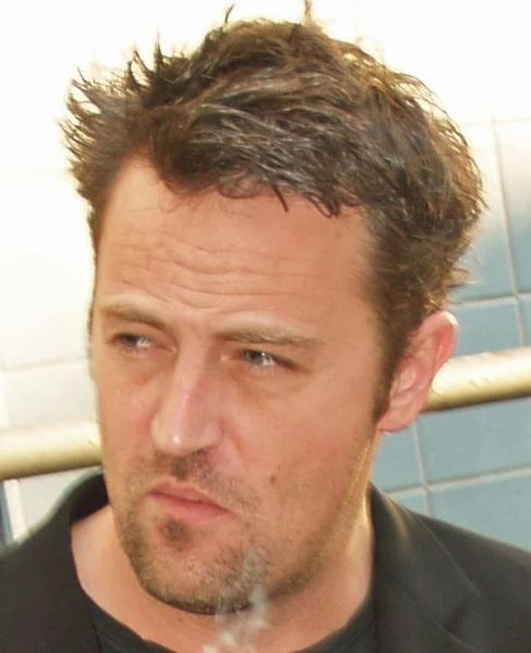 Matthew Perry | Simpsons Wiki | Fandom