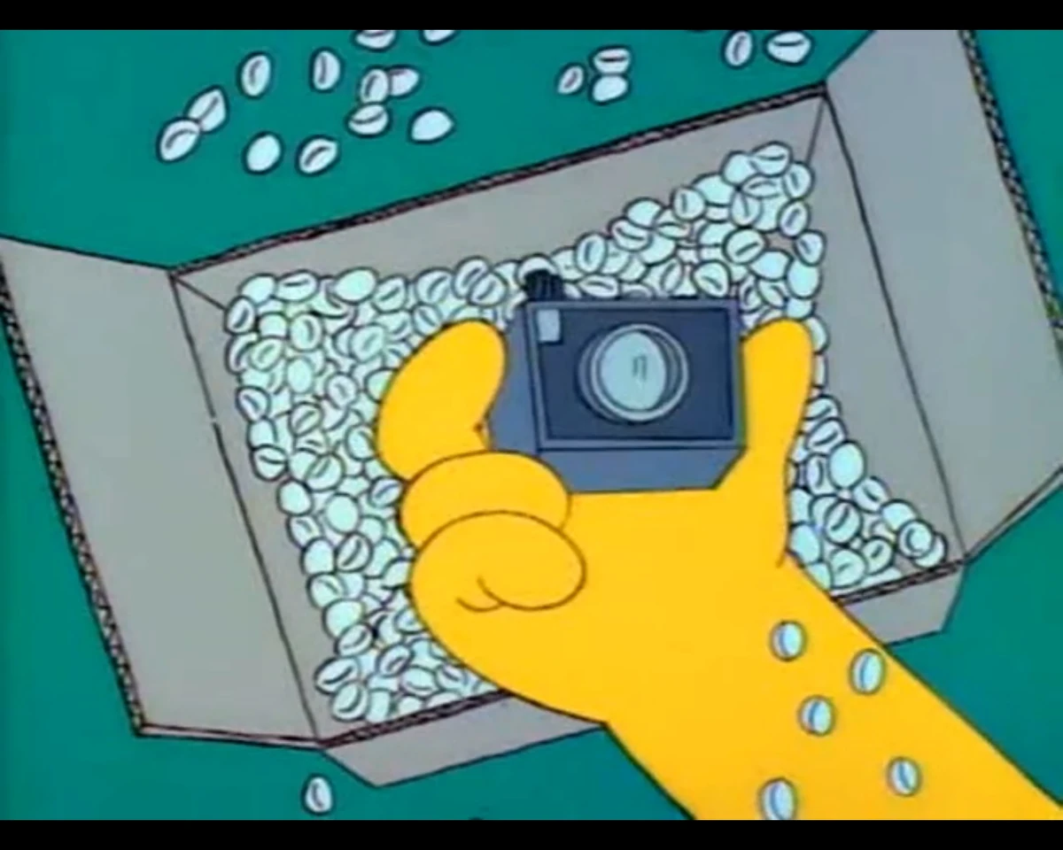 Spy camera | Simpsons Wiki | Fandom